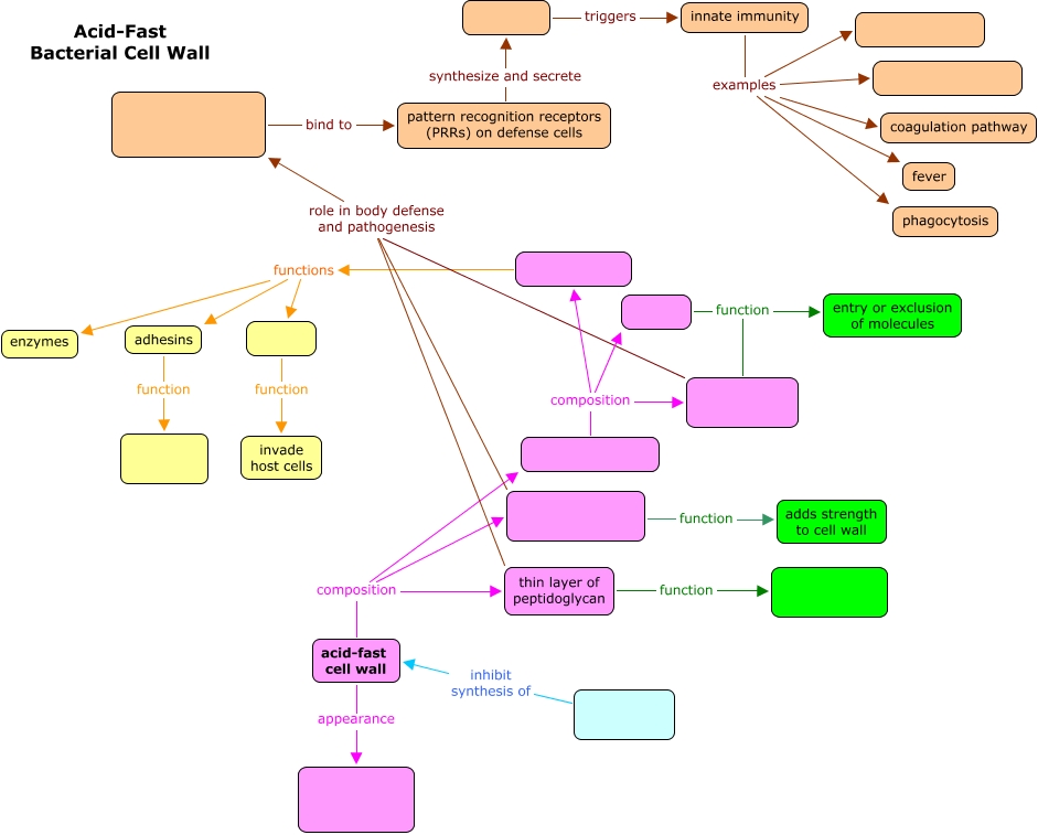 AF_Bacterial_Cell_Wall.html